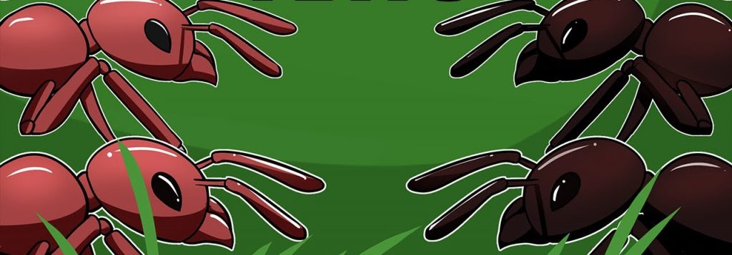 Análise | Pocket Ants: Colony Simulator – Host Geek